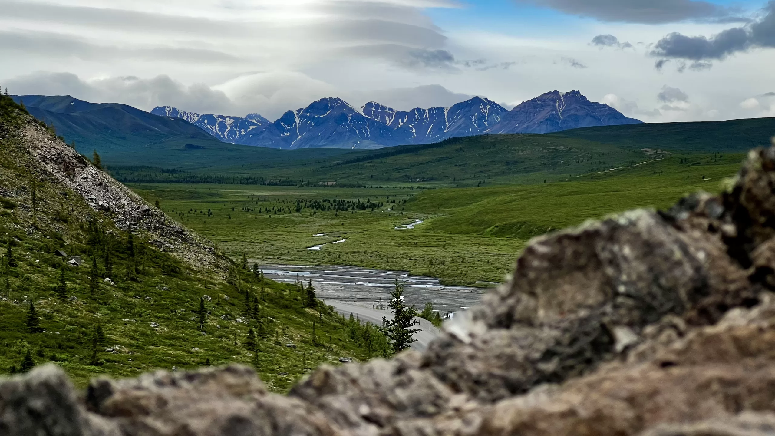 Your Complete 2023 Guide to Denali National Park: Tours, Trails, Food ...